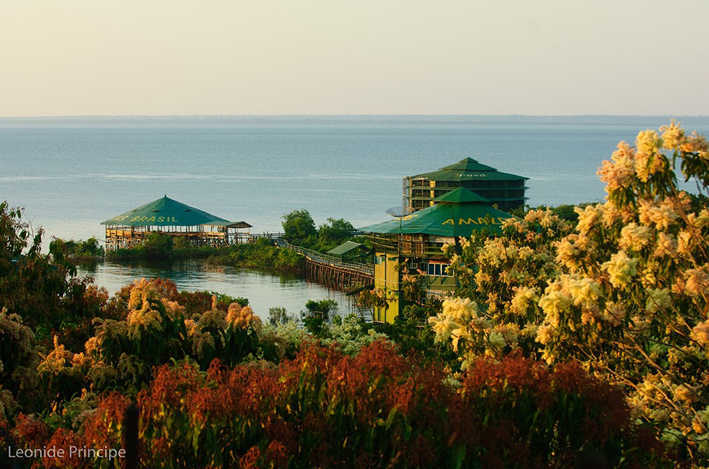 The best tree house hotels from around the world
